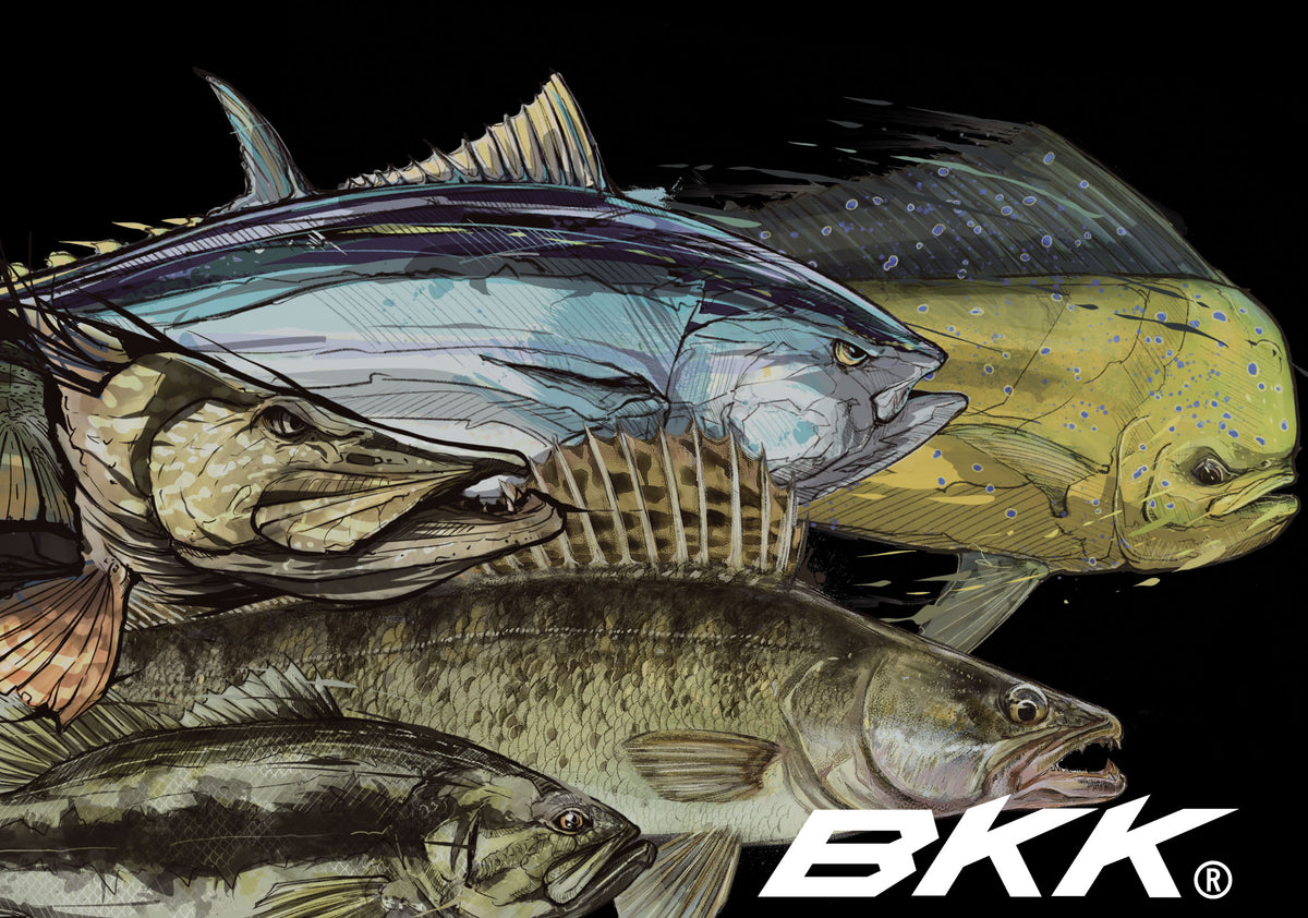BKK – AMBERJACK : Offshore Fishing Select Shop